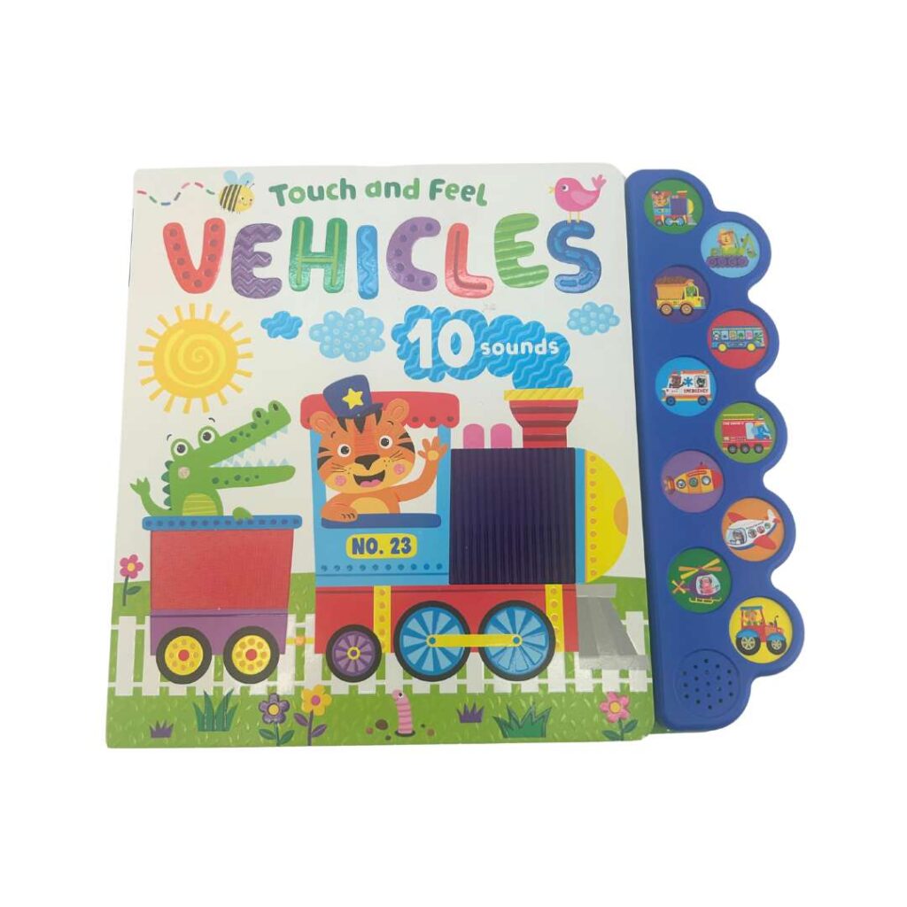 Touch and Feel Vehicles Storybook: 10 Sounds / Hardcover – CanadaWide ...